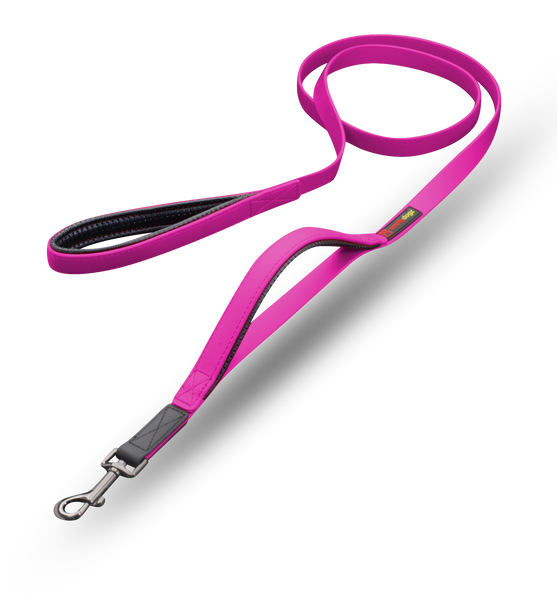 The Double Handle Lead – smellydogz